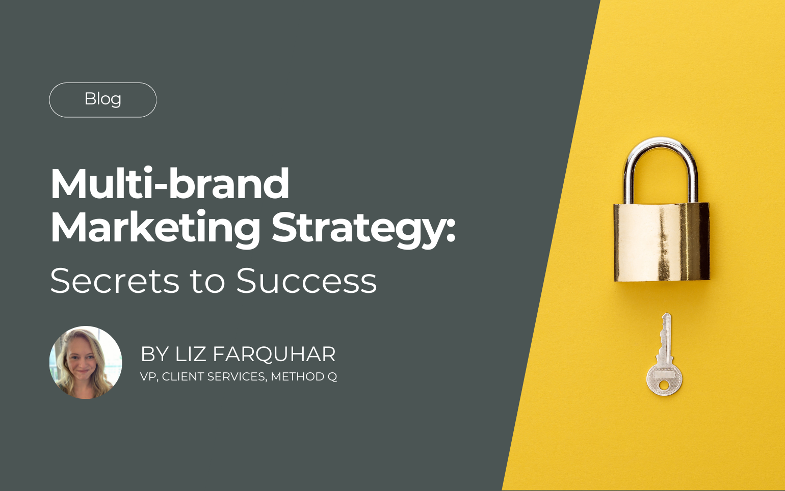 Multi-brand Marketing Strategy: Secrets to Success - Method Q